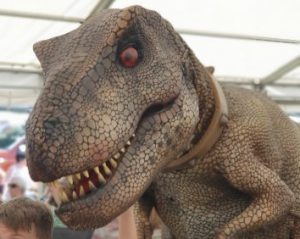 Meet The Team - Raptors World