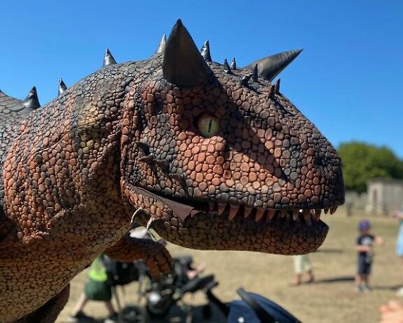 Meet The Team - Raptors World